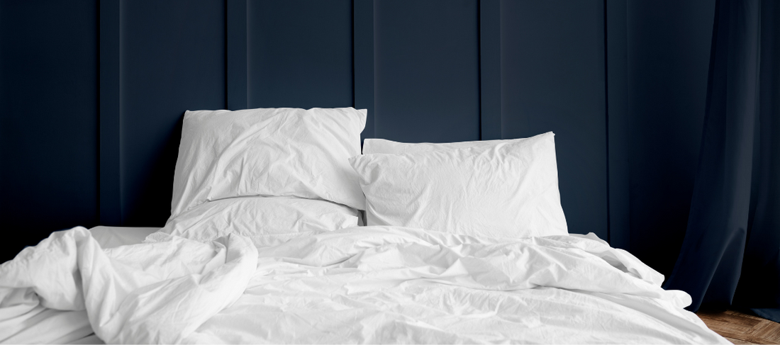 Sealy Bedding – Essops Home