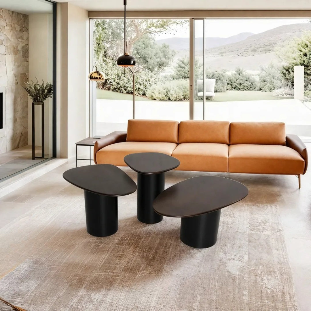 Clark Set of 3 Coffee Table JS1132 – Essops Home